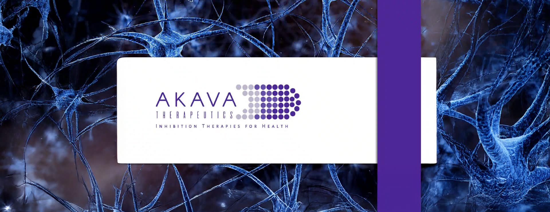 AKAVA Therapeutics Powerpoint - Axxiem